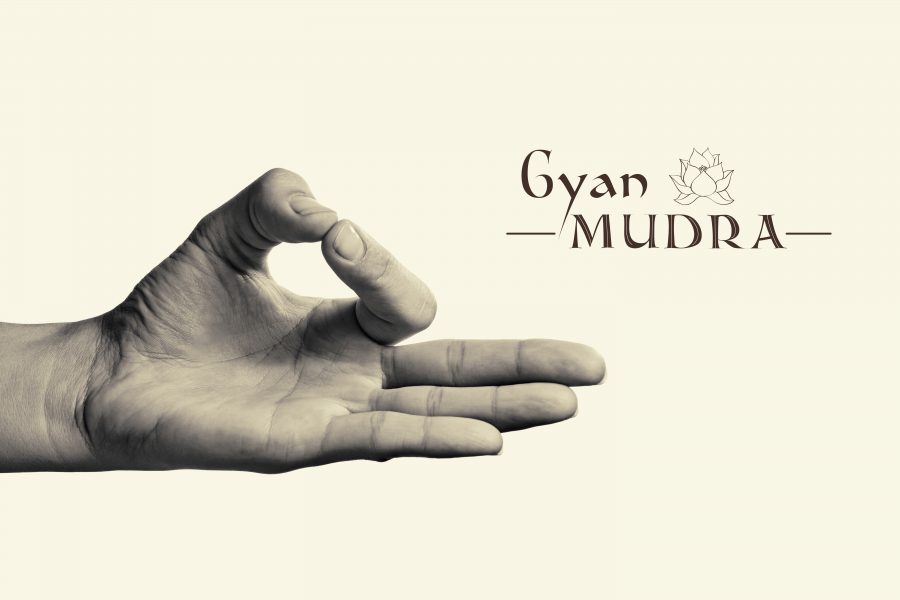 Mudra Essentials - 15 Powerful Mudras and How to Use them