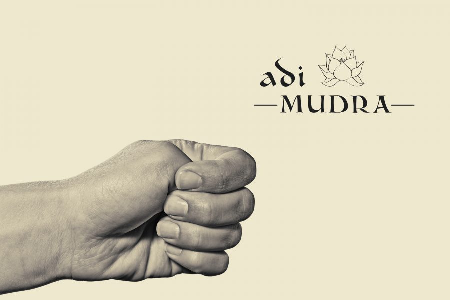 Mudra Essentials - 15 Powerful Mudras and How to Use them
