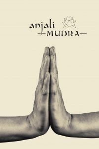 Mudra Essentials - 15 Powerful Mudras and How to Use them