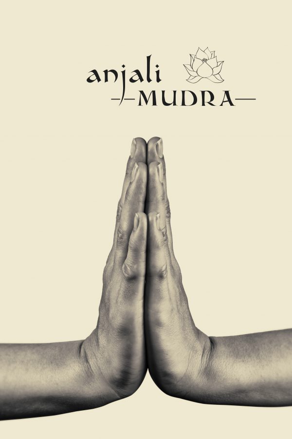 Mudra Essentials - 15 Powerful Mudras and How to Use them