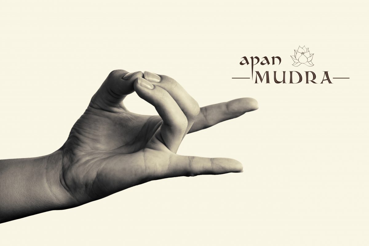 Mudra Essentials - 15 Powerful Mudras and How to Use them