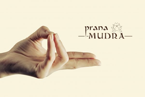 Mudra Essentials - 15 Powerful Mudras and How to Use them